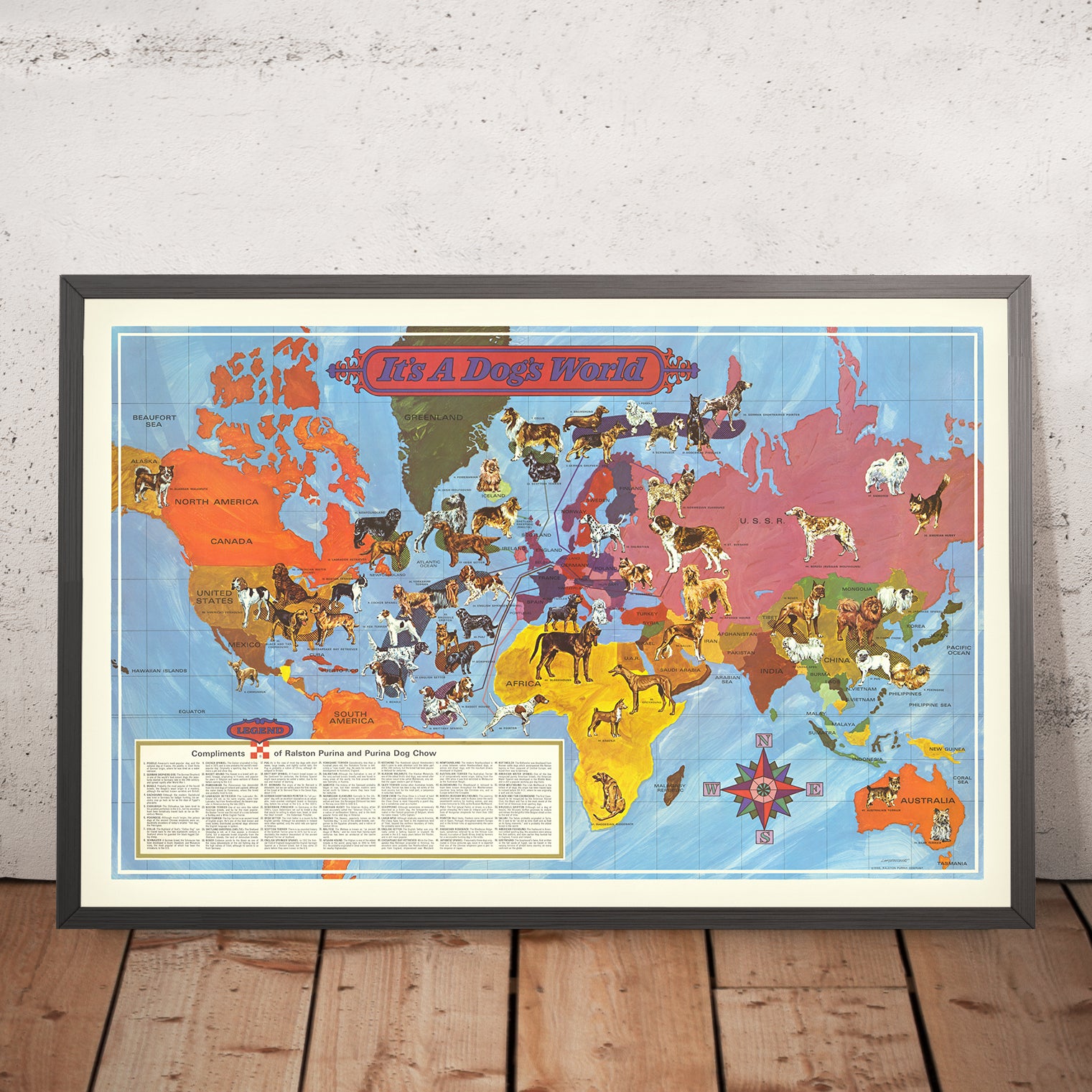 Pictorial Dog Breed World Map by Langeneckert, 1968 – The Unique Maps Co.