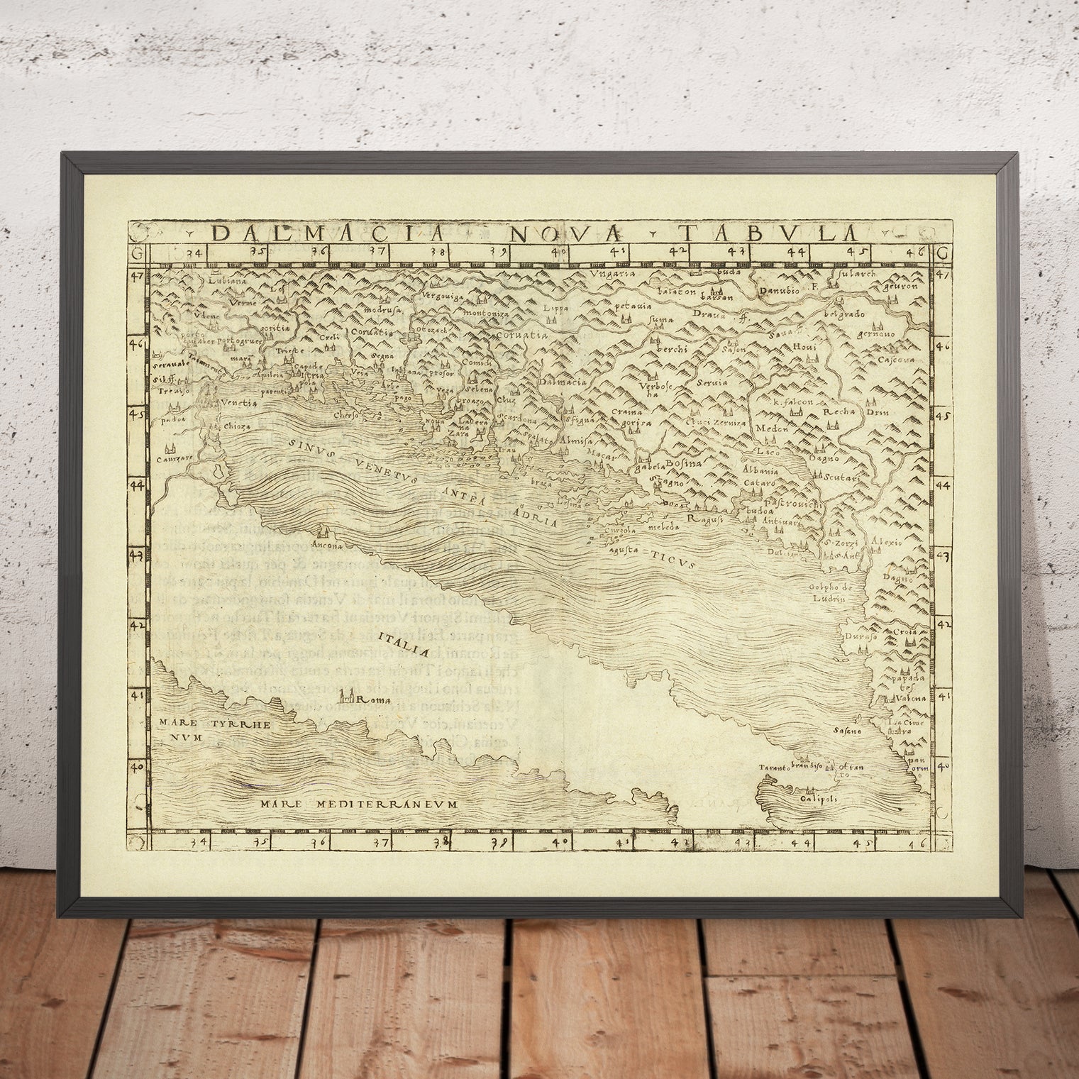 Rare Renaissance Map of Croatia & Adriatic by Gastaldi, 1548: Split, D ...