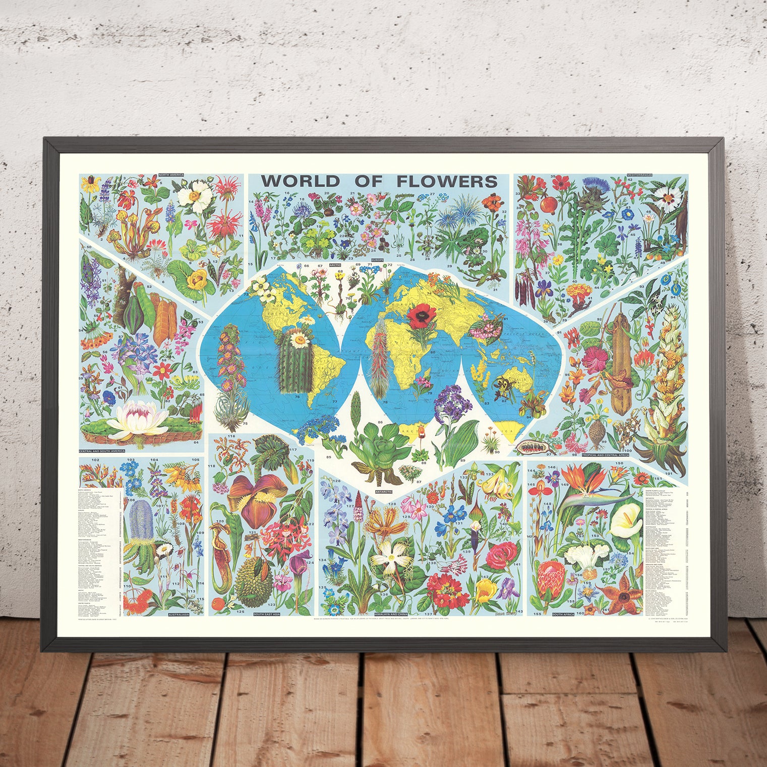 Old World Map of Flower Distribution by Everard, 1972: Botanical Illus ...