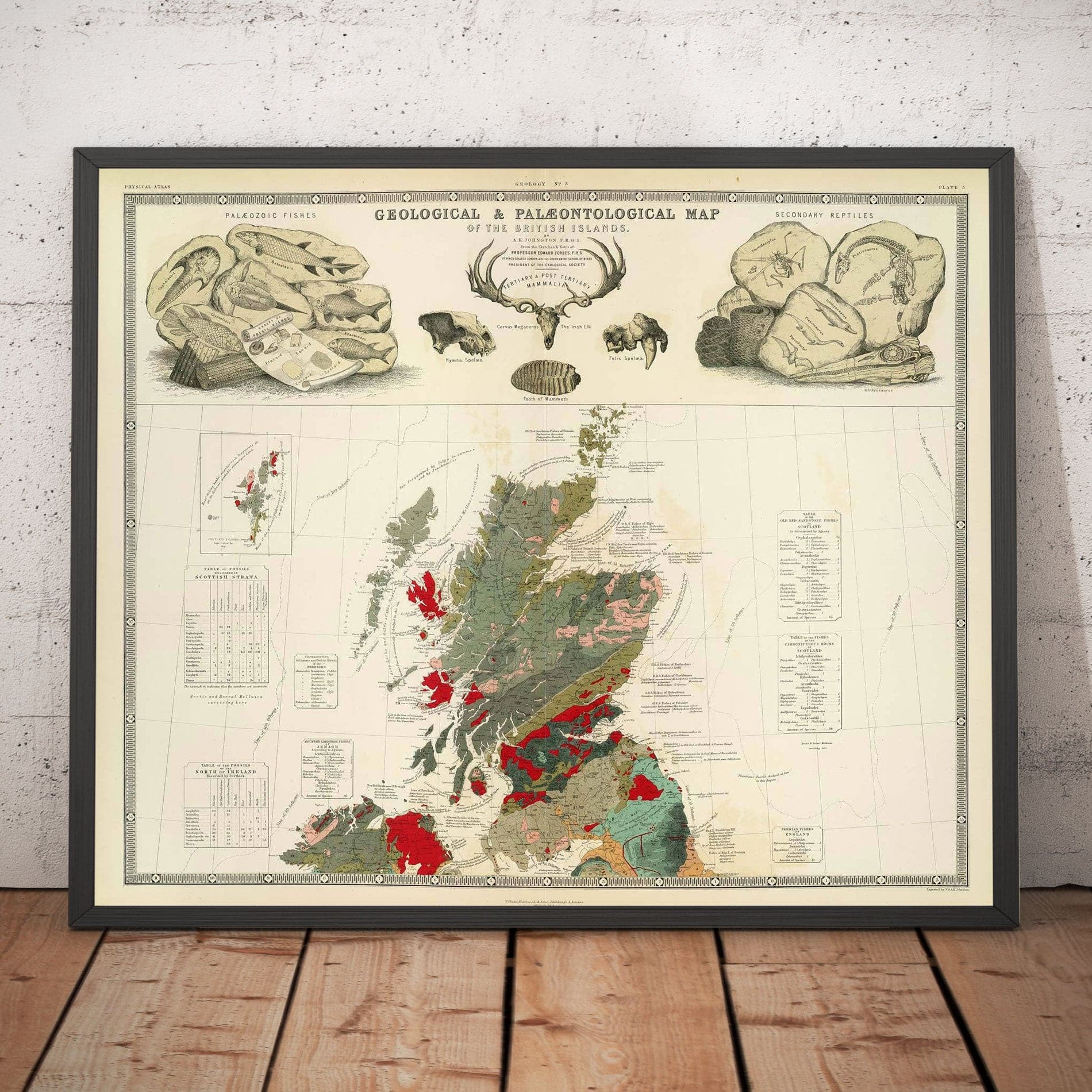 Old Geology & Palaeontology Map of Scotland, 1854, by A.K. Johnston an ...